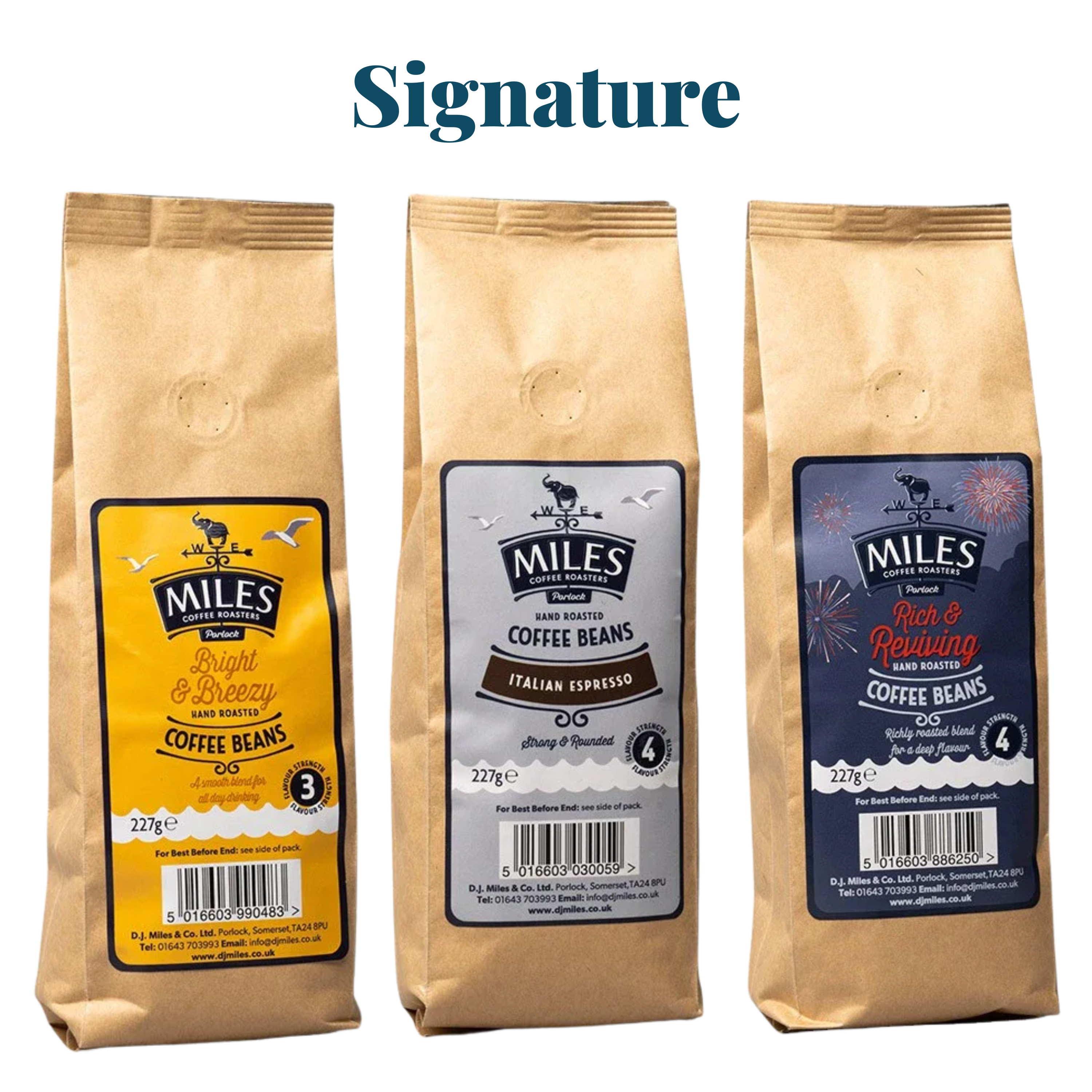 Miles Coffee House Favourites Taster Pack – 3x 227g Hand-Roasted Coffe ...